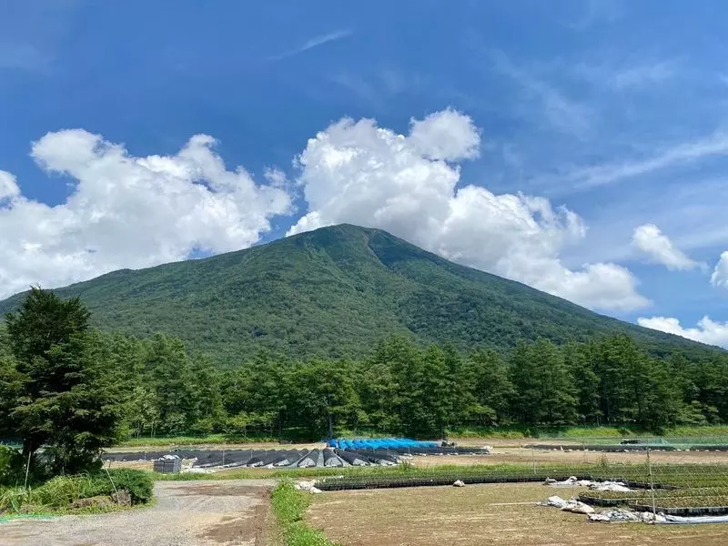 Mt．Berry 奥日光 - 足尾 (果物・野菜狩り)の口コミやアクセス情報｜aumo[アウモ]