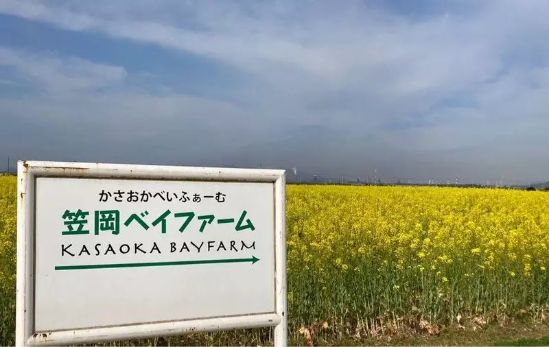 道の駅 笠岡ベイファーム - 笠岡諸島 (観光施設・名所巡り)の口コミやアクセス情報｜aumo[アウモ]