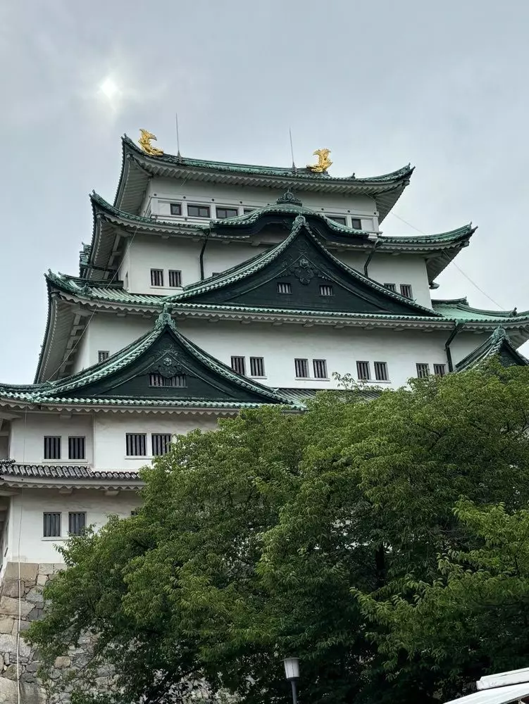名古屋城 - 名古屋城周辺 (観光施設・名所巡り)の口コミやアクセス情報｜aumo[アウモ]